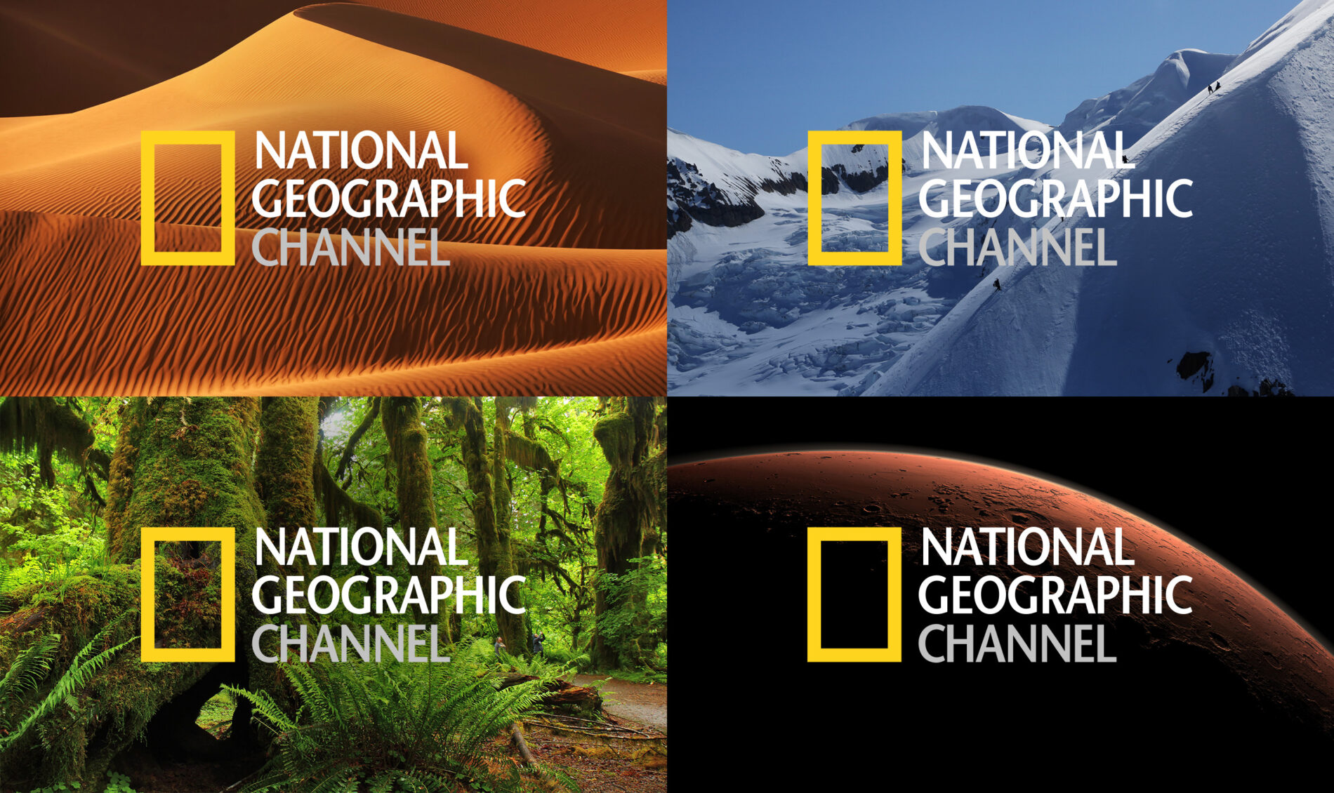 Comédien voix grave pour National Geographic Channel, Chaîne TV